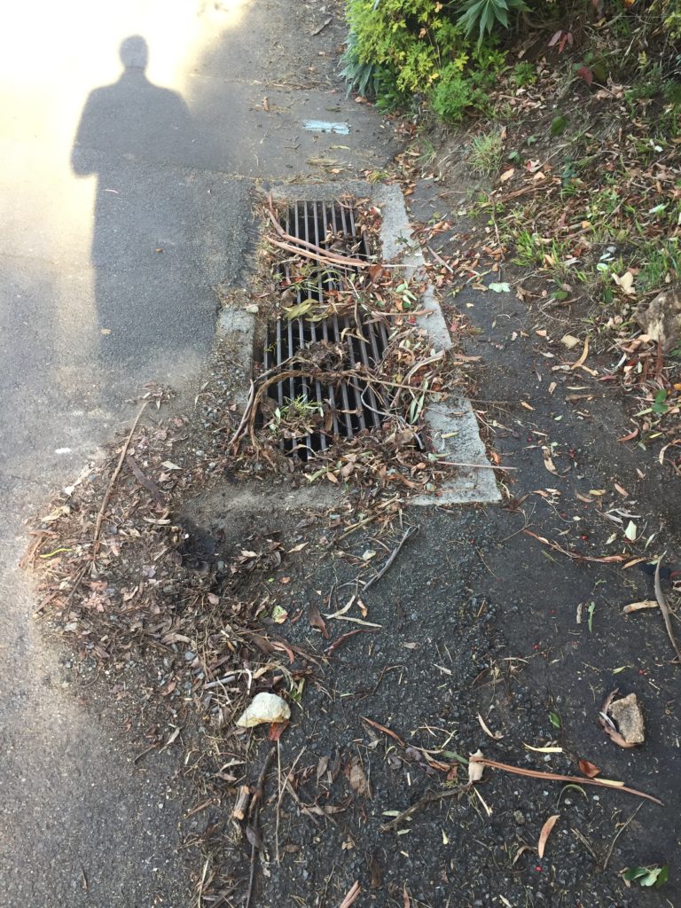 Flooding News – Views on Mt Nelson Flooding