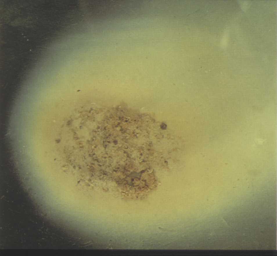 Dispersive soils – why, where, when