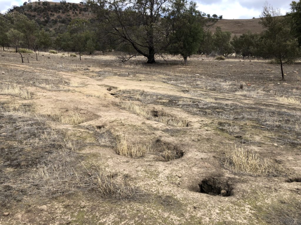 Dispersive soils – why, where, when